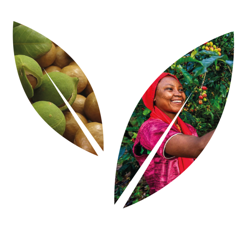 Company - Sasini PLC