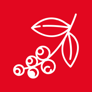 Our Focus Areas - Sasini PLC