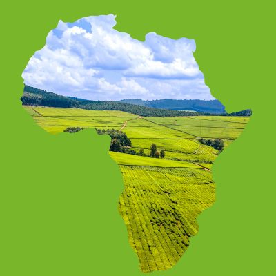 Our Focus Areas - Sasini PLC