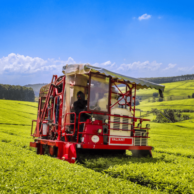 Our Focus Areas - Sasini PLC