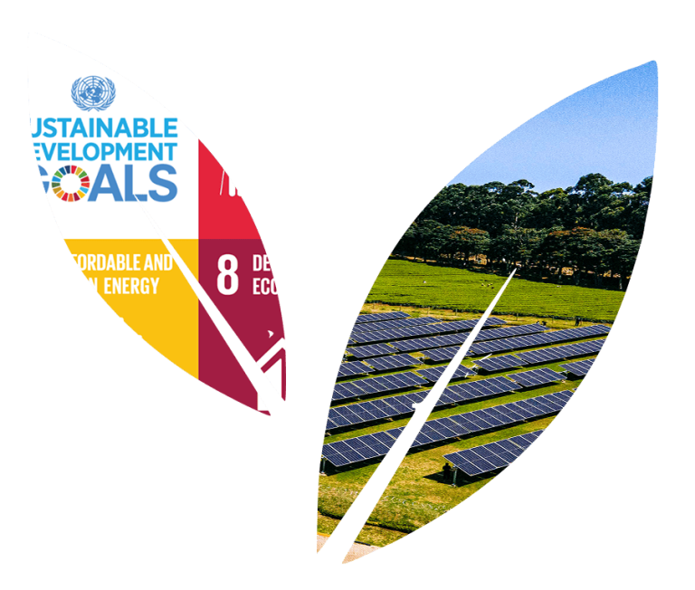 Partner With Us - Sasini PLC